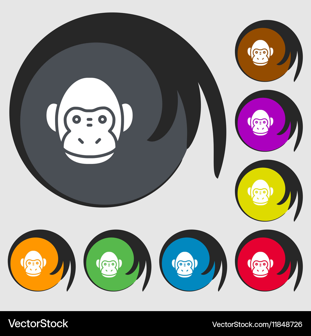 Monkey icon sign symbols on eight colored buttons Vector Image