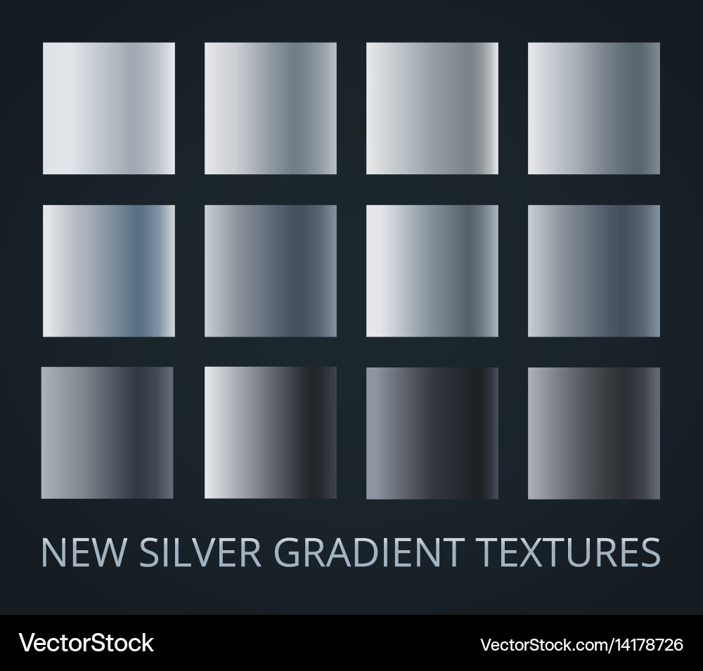 Set of 12 different silver gradients isolated Vector Image