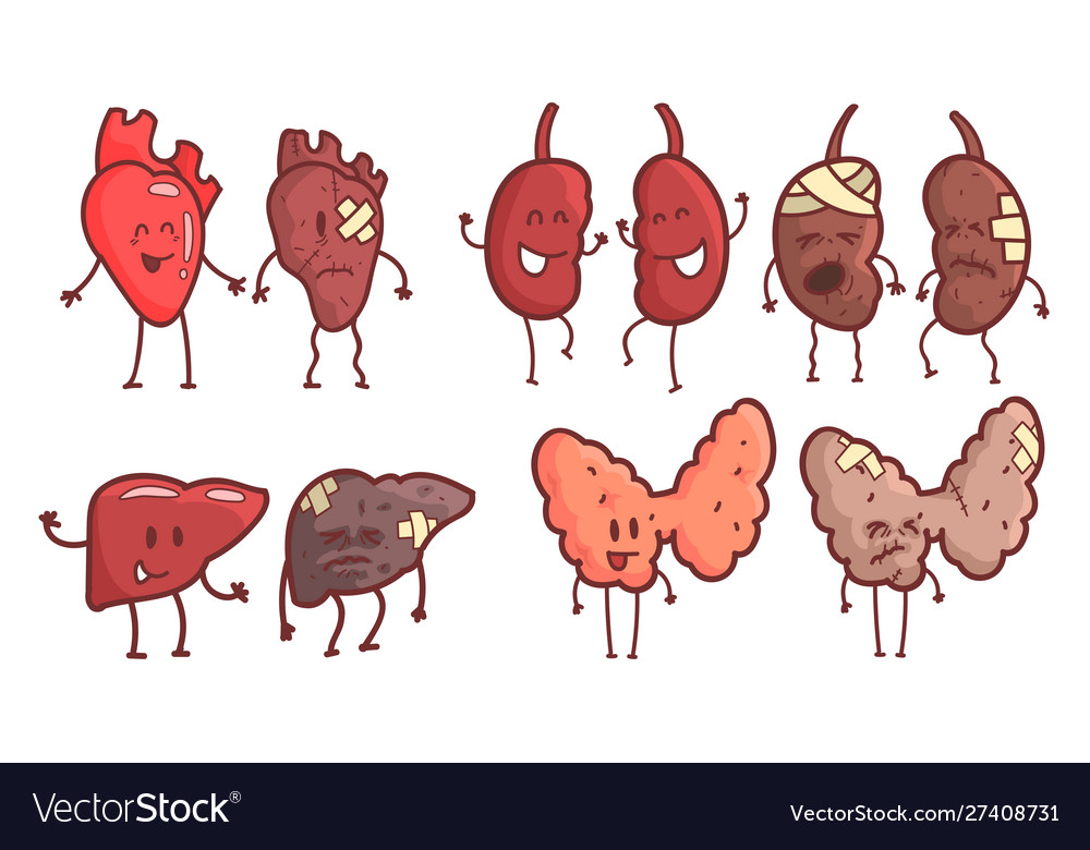 Healthy and unhealthy human internal organs Vector Image