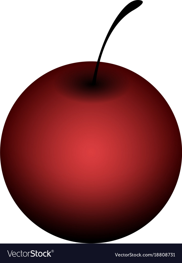 Isolated cherry Royalty Free Vector Image - VectorStock