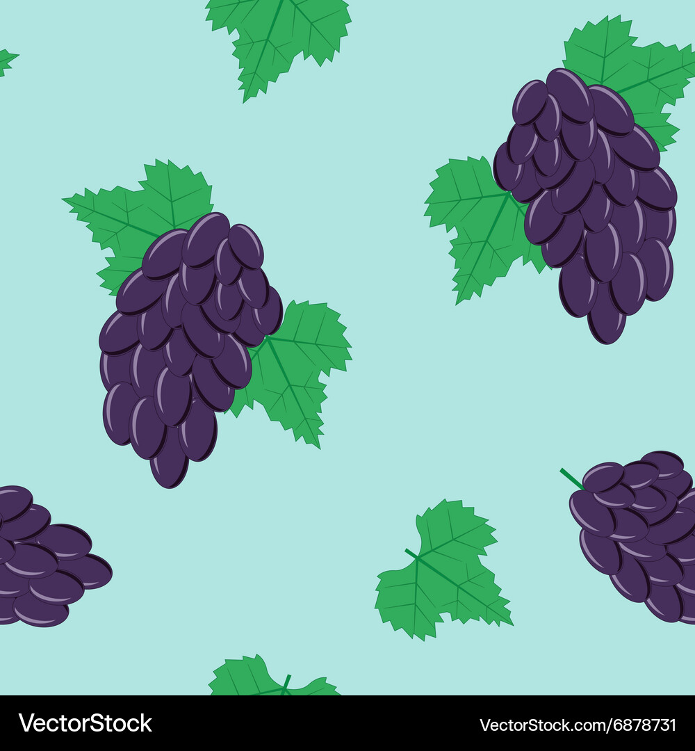Seamless pattern with bunches of black grapes Vector Image
