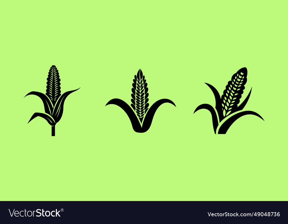 Harvest time icon pack featuring corn elements Vector Image