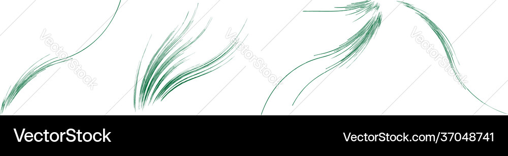 Organic weed grass like curvy wavy lines Vector Image