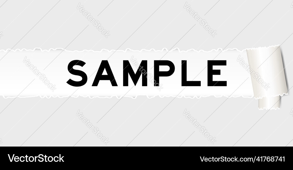 Ripped gray paper background that have word Vector Image