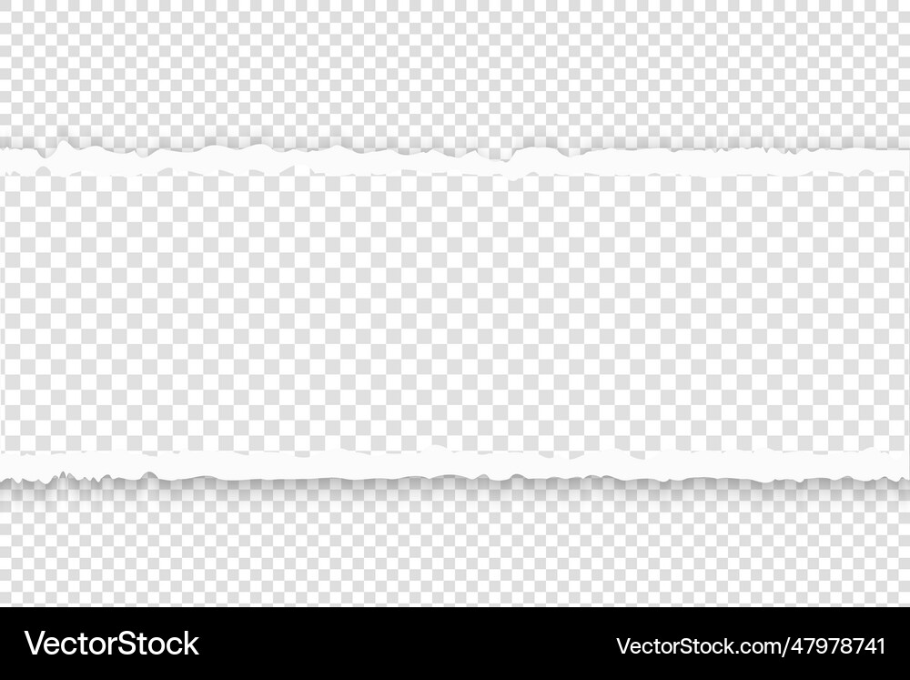 Torn paper with ripped edges squared ripped paper Vector Image