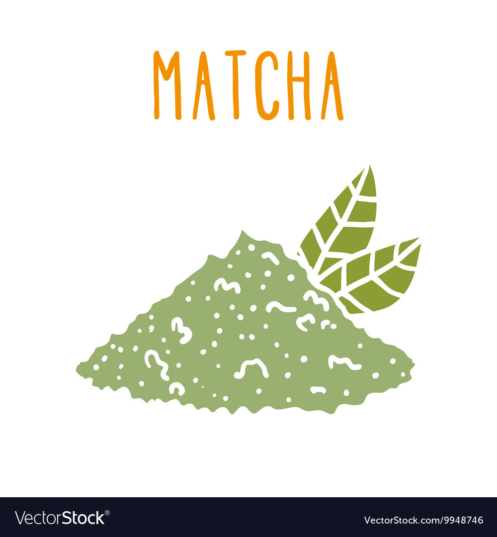 Matcha tea powder Royalty Free Vector Image - VectorStock