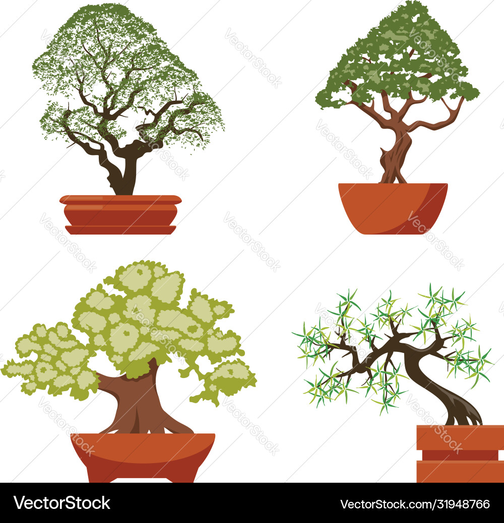 Set colorful bonsai trees in pots Royalty Free Vector Image