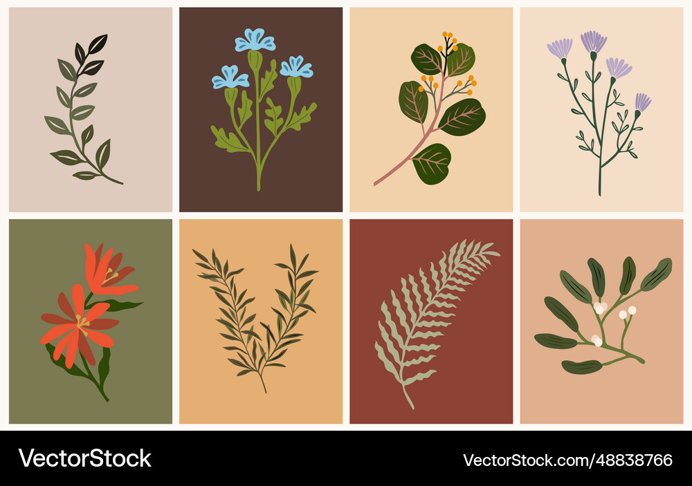 Set of hand drawn floral design elements Vector Image