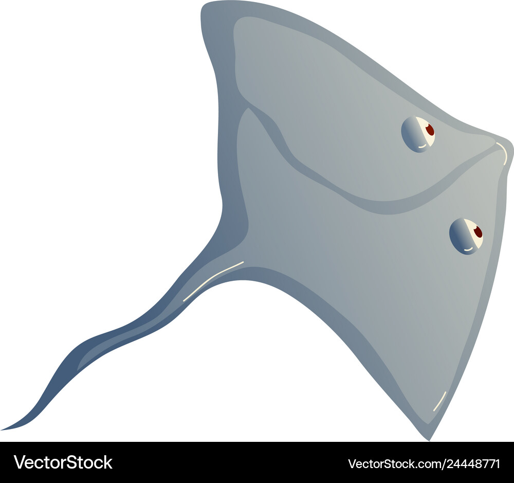 Cramp fish on white background water life Vector Image