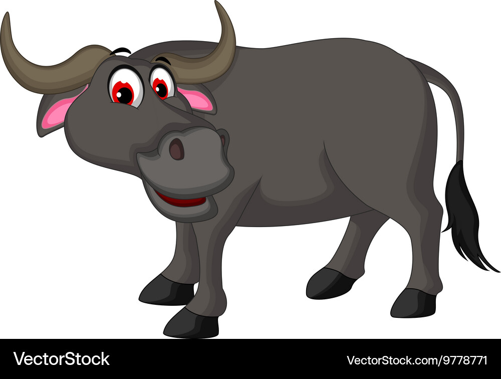 Cute buffalo cartoon posing for you design Vector Image