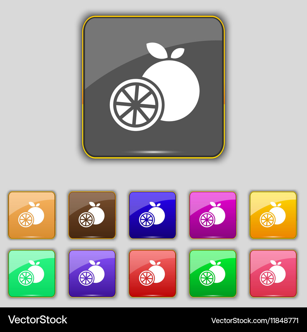 Orange icon sign set with eleven colored buttons Vector Image