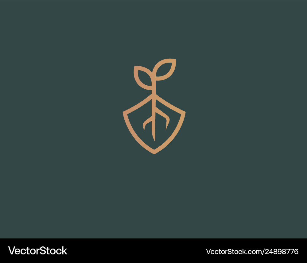 Abstract logo icon plant roots and shield nature Vector Image