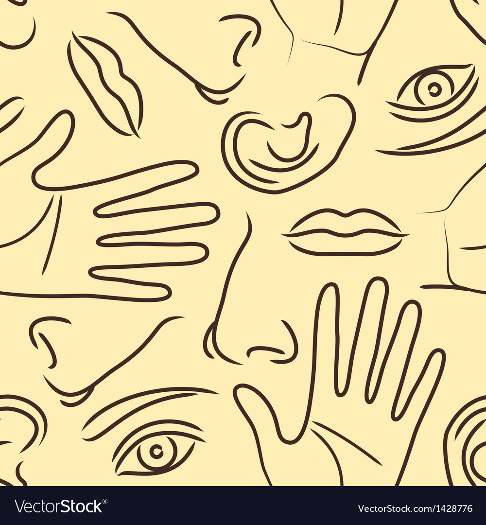 Body parts pattern Royalty Free Vector Image - VectorStock