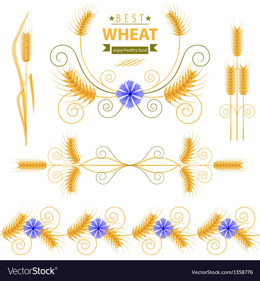 Wheat Royalty Free Vector Image - VectorStock