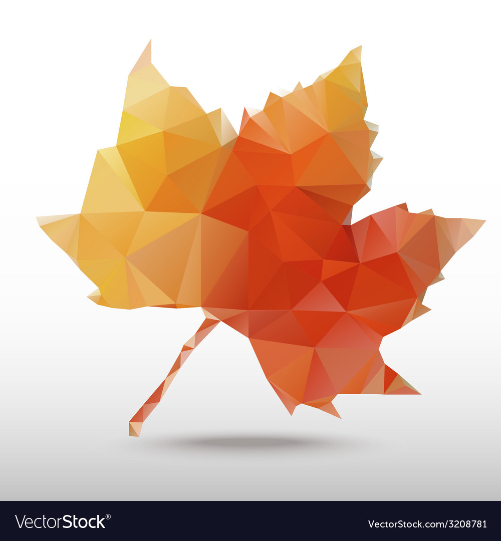 Maple Royalty Free Vector Image - VectorStock