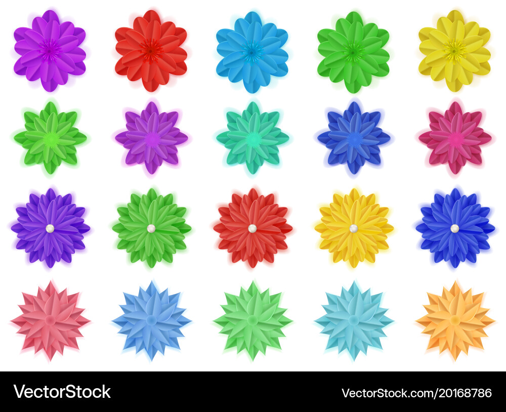 Set of paper flowers Royalty Free Vector Image