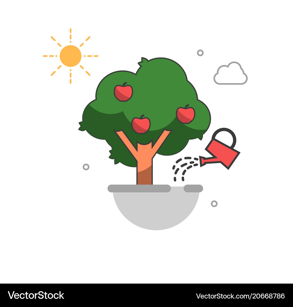 Timeline infographic of planting tree process Vector Image