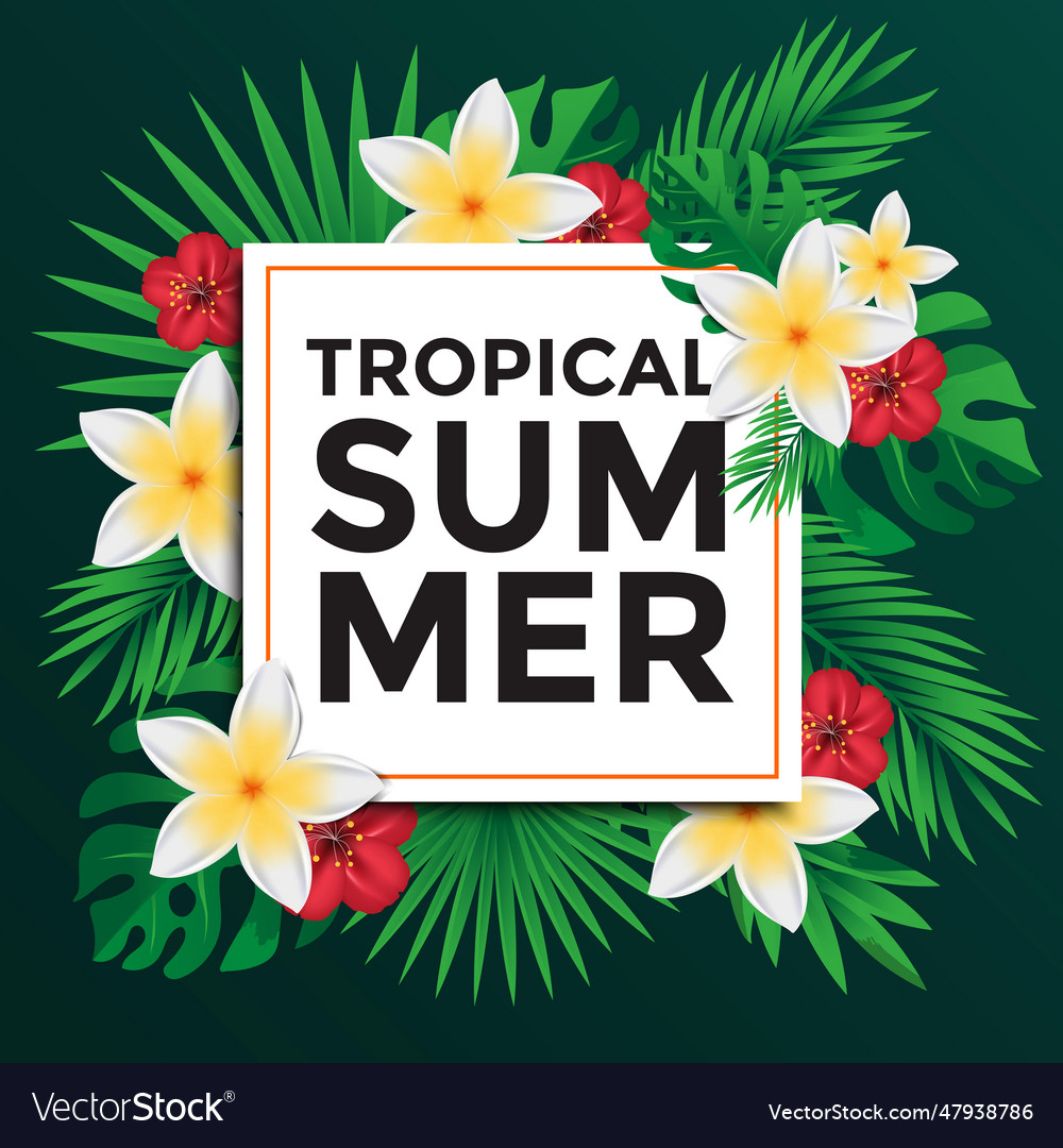 Tropical poster 3 Royalty Free Vector Image - VectorStock