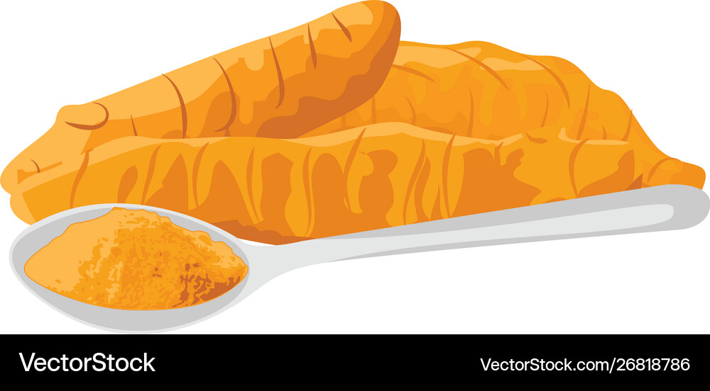 Turmeric roots and powder in a spoon Royalty Free Vector