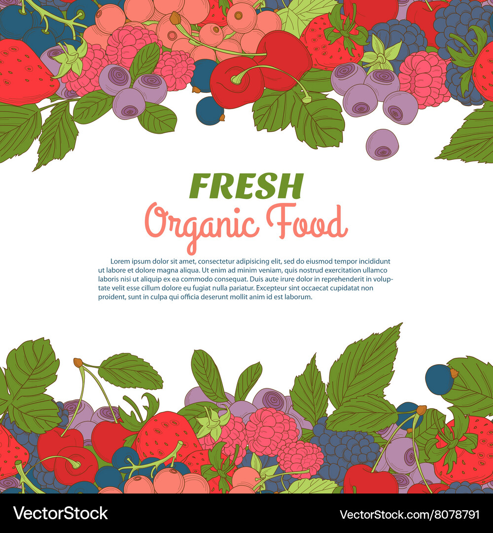 Berries mix seamless border frame of cherry Vector Image