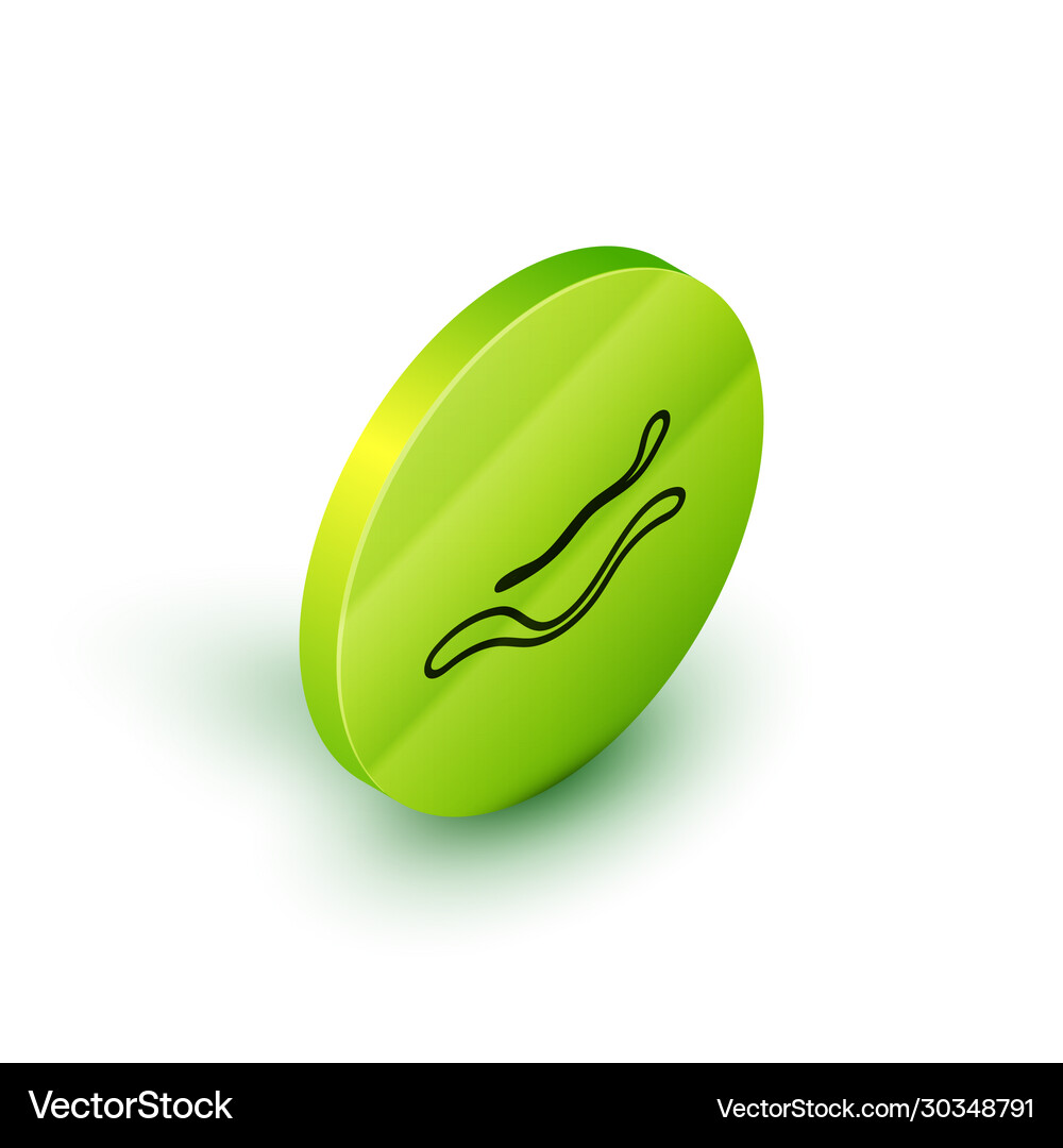 Isometric line ebola virus disease icon isolated Vector Image