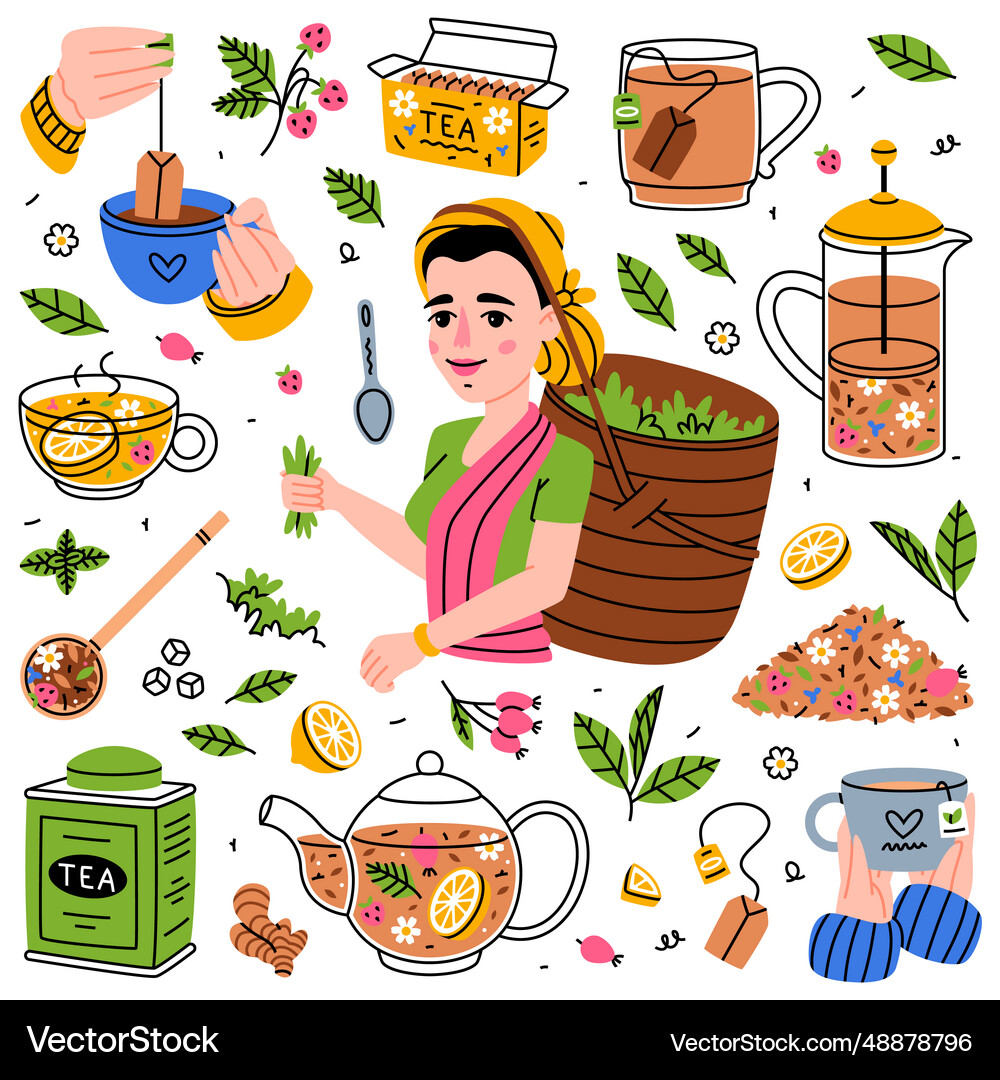 Aromatic tea with woman gathering leaf Royalty Free Vector