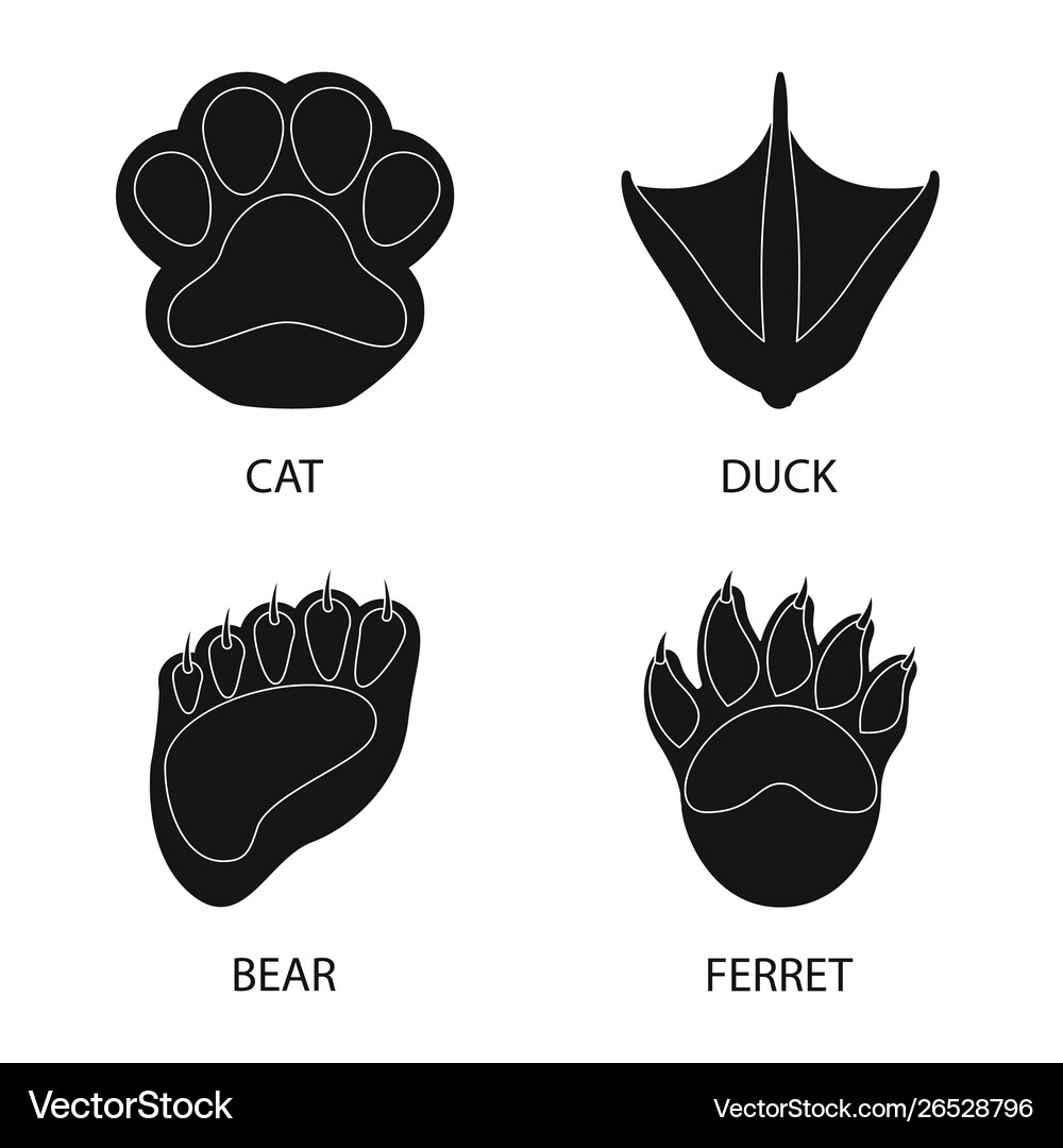 Isolated object feet and fauna logo set Royalty Free Vector