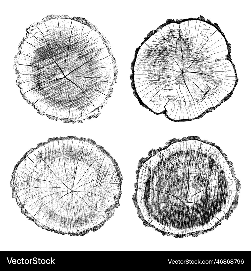 Set of distressed wood texture Royalty Free Vector Image