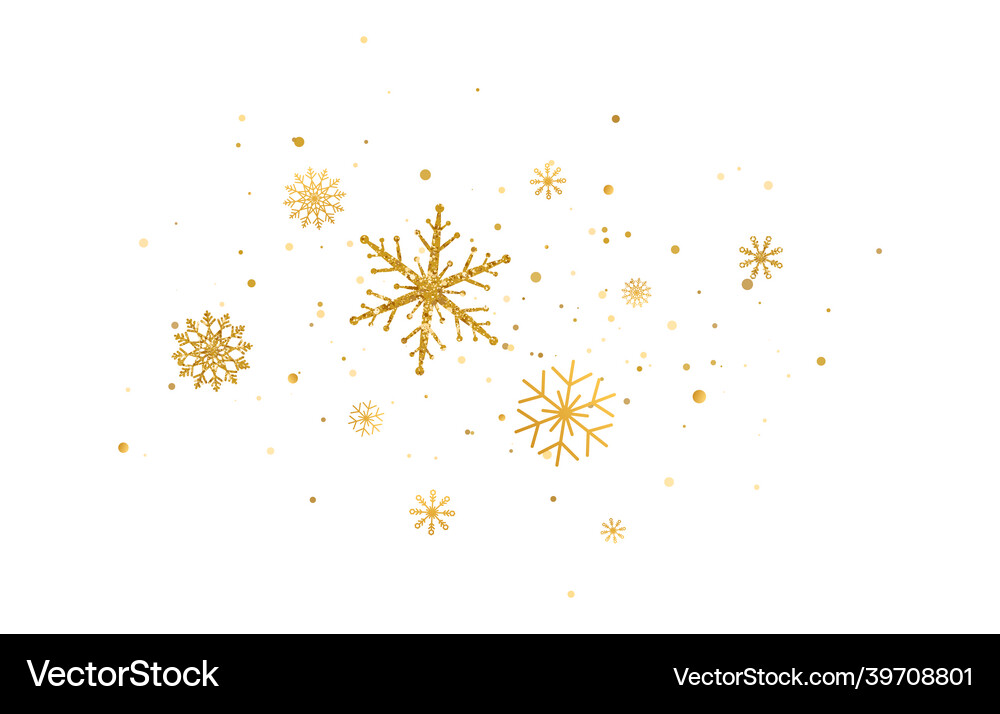 Gold snowflakes with different ornaments luxury Vector Image