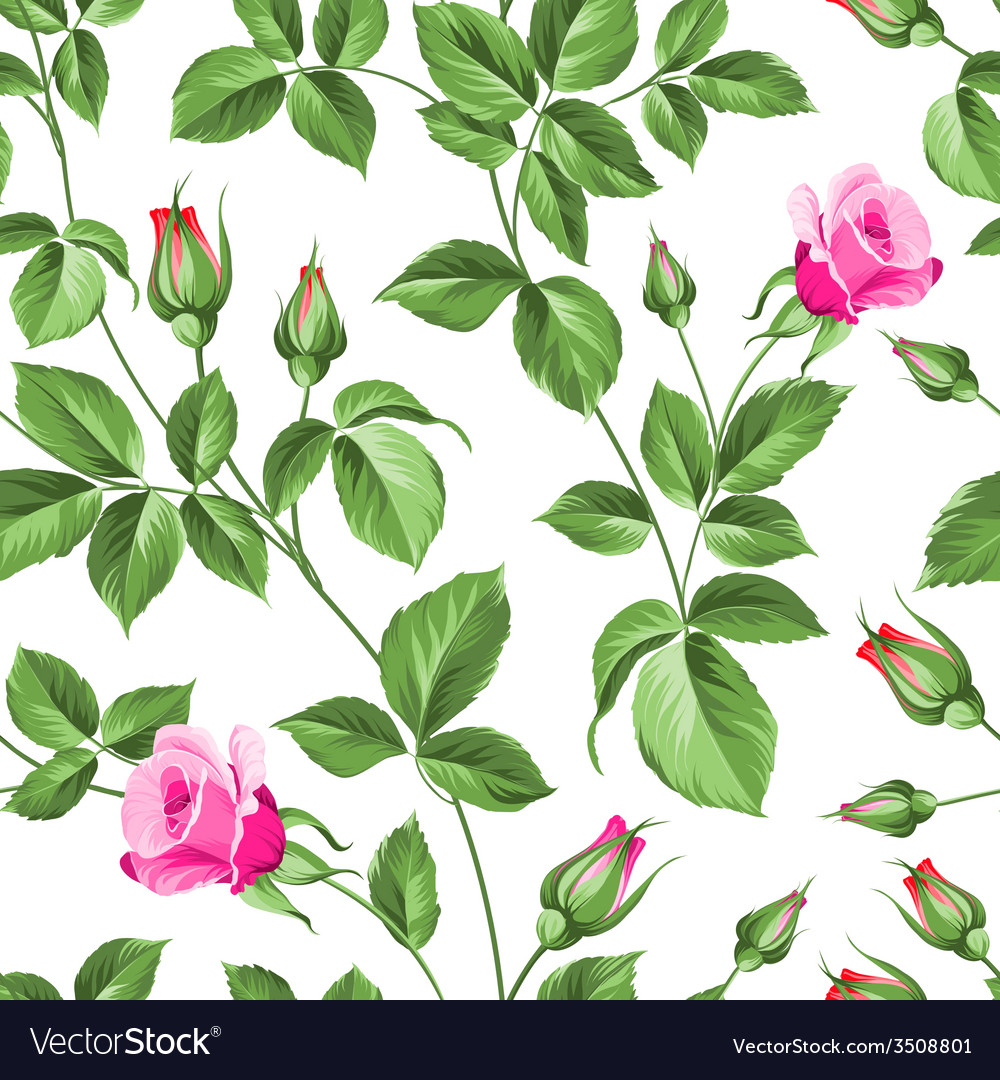 Roses pattern Royalty Free Vector Image - VectorStock