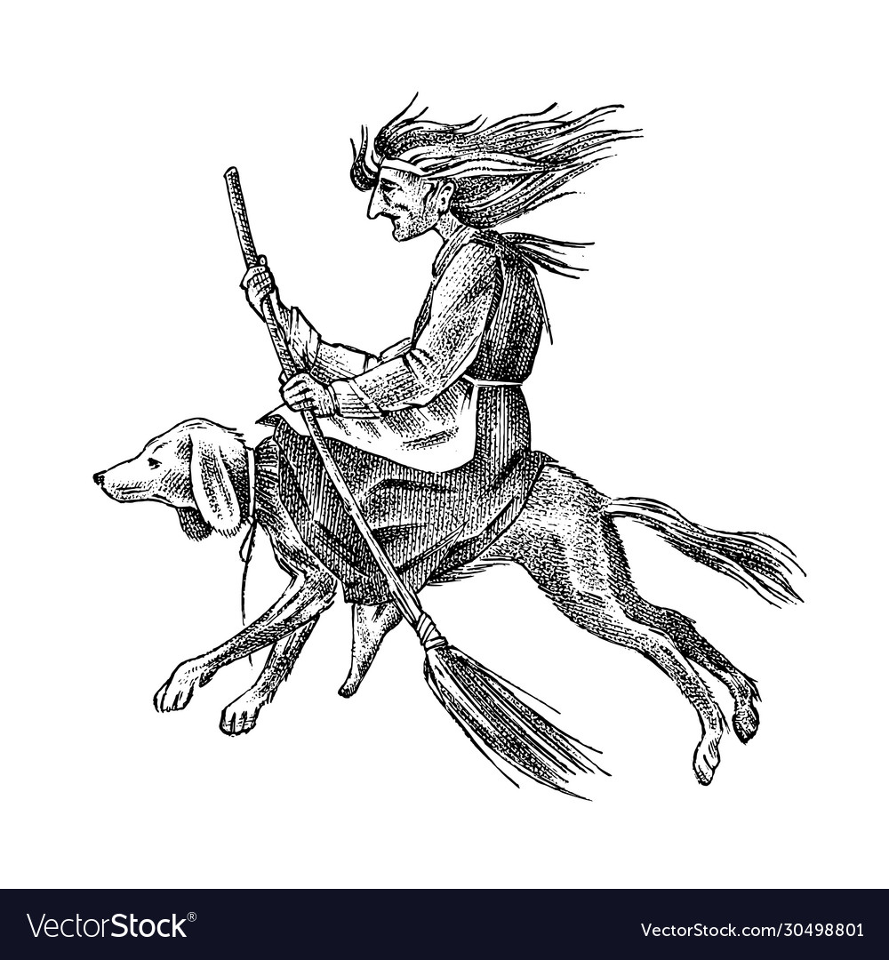Witch flies with a broom and dog ancient Vector Image