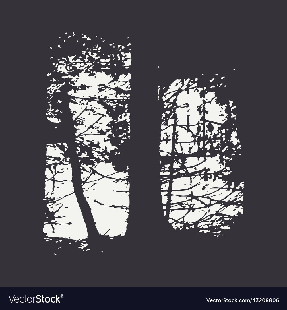 Dark forest texture background Royalty Free Vector Image