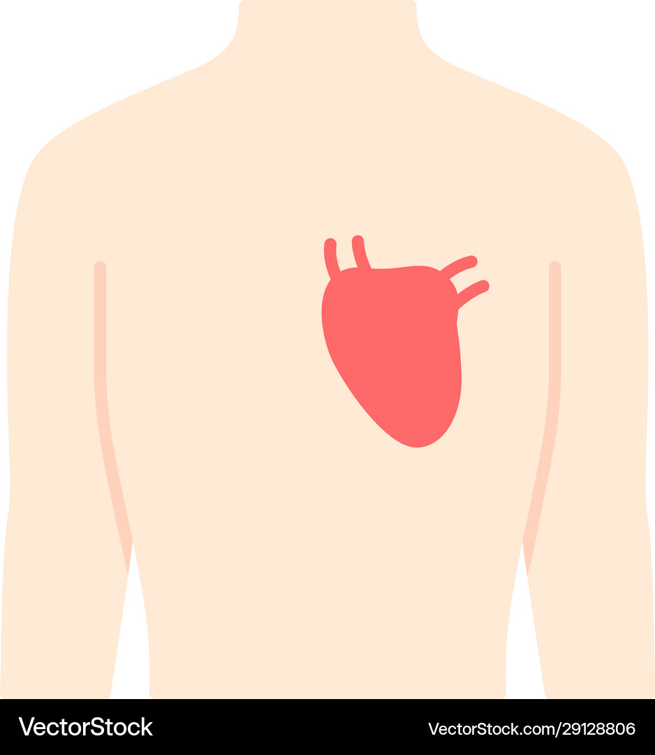 Healthy heart flat design long shadow color icon Vector Image