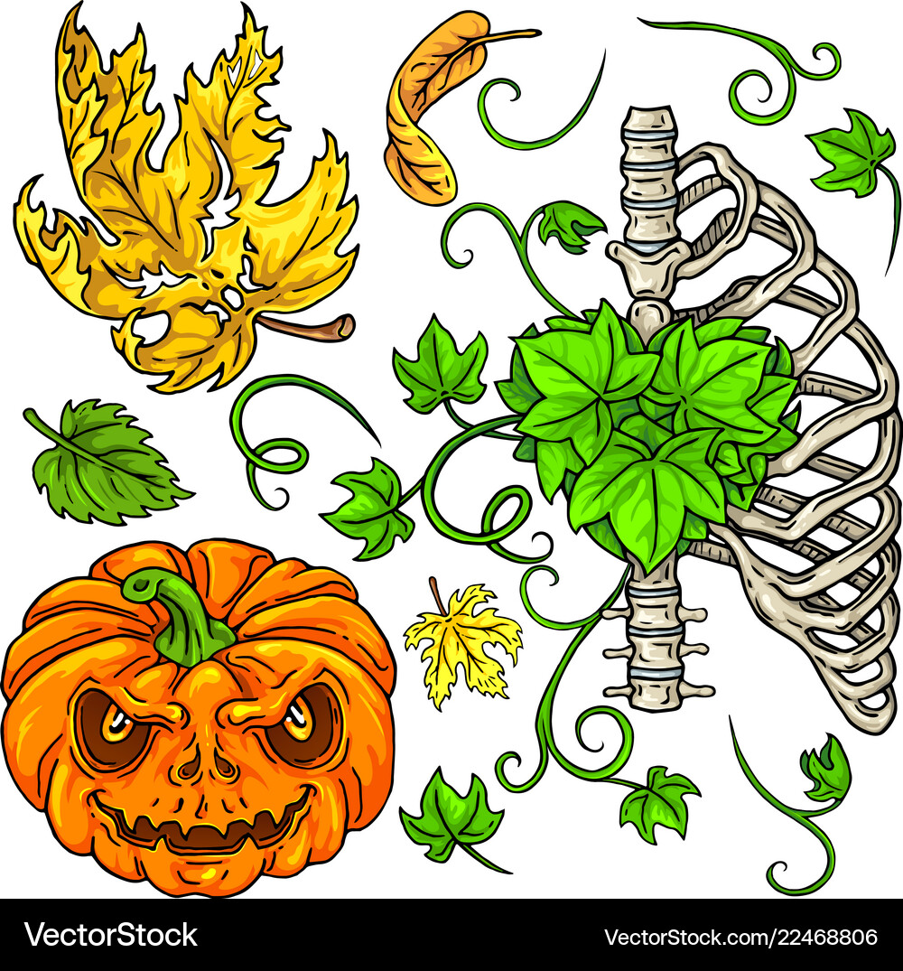 Nature halloween Royalty Free Vector Image - VectorStock