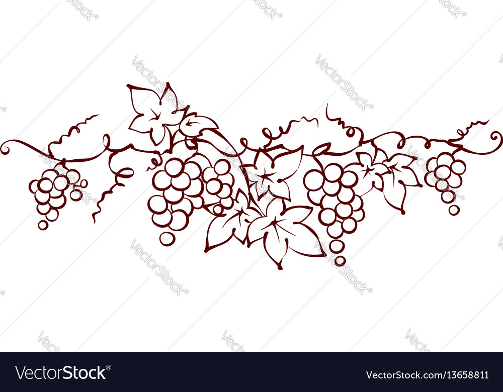 Design elements - vine Royalty Free Vector Image