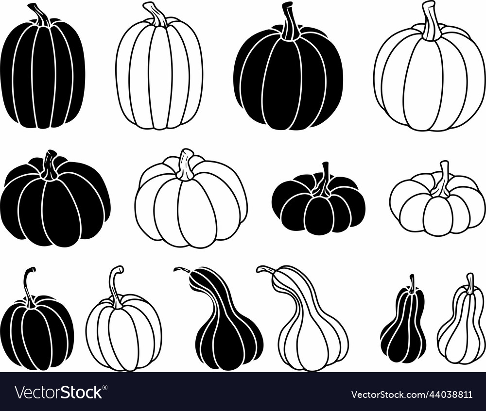Pumpkins Royalty Free Vector Image - VectorStock