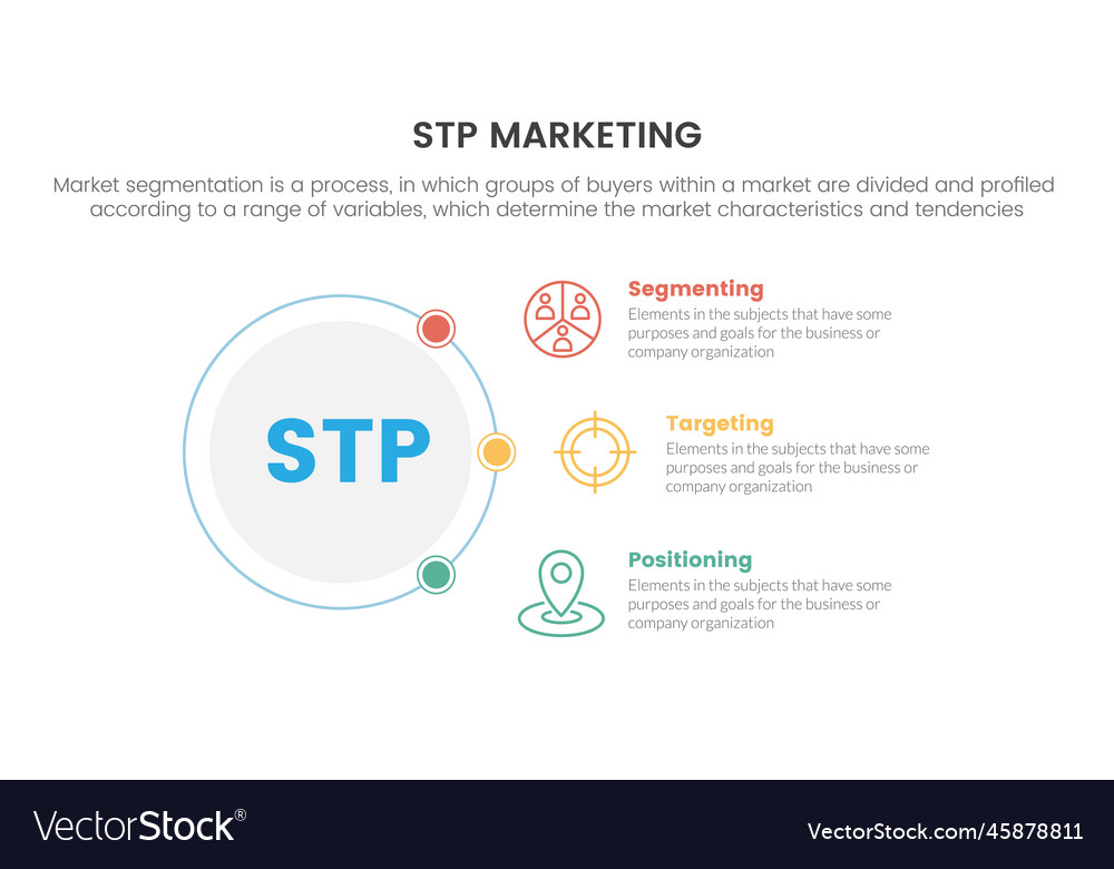 Stp marketing strategy model for segmentation Vector Image