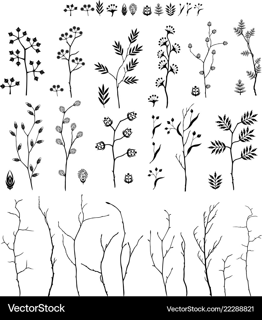 Big set of branch and flowers fall spring Vector Image