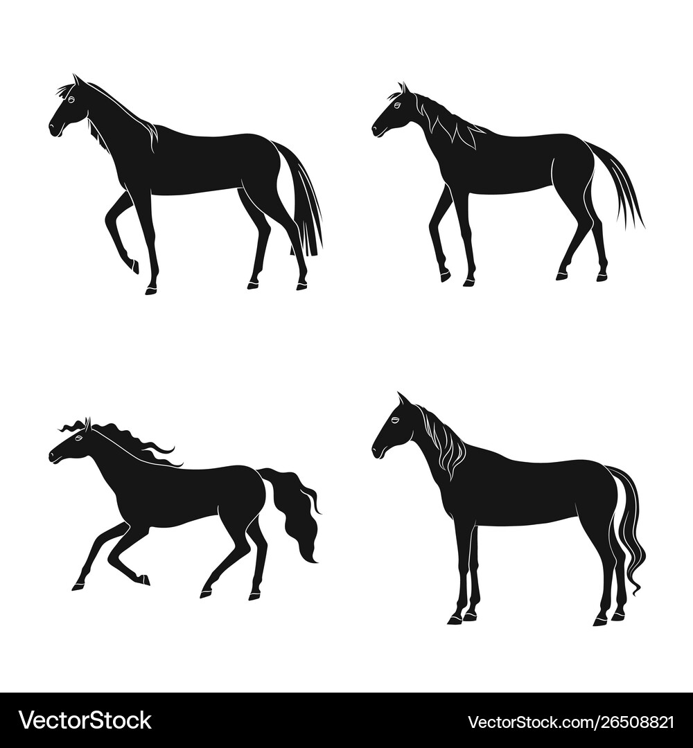 Design fauna and mare symbol set Royalty Free Vector Image