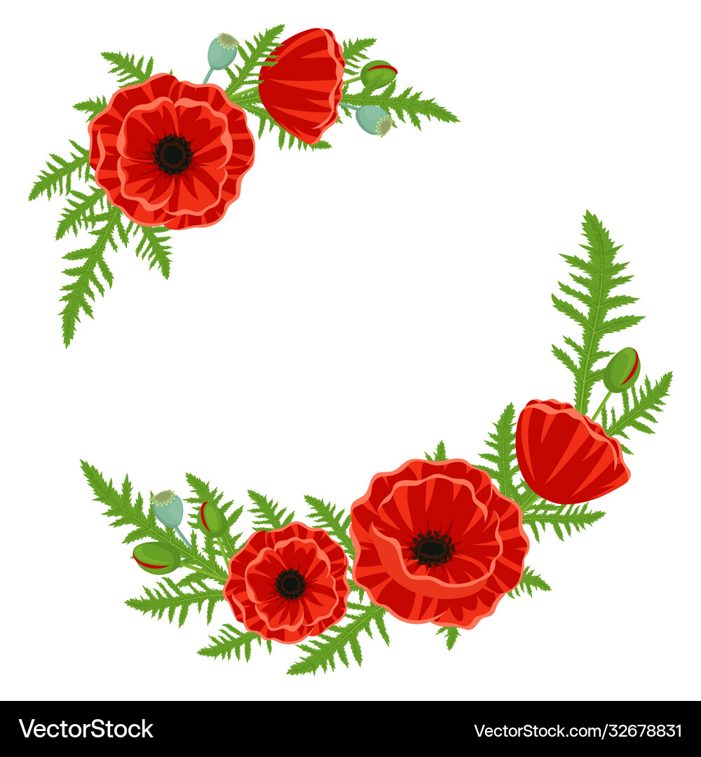 Frame with red poppies isolated on white Vector Image