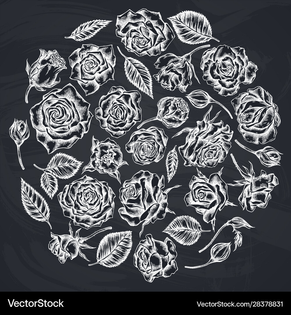 Round floral design with chalk roses Royalty Free Vector