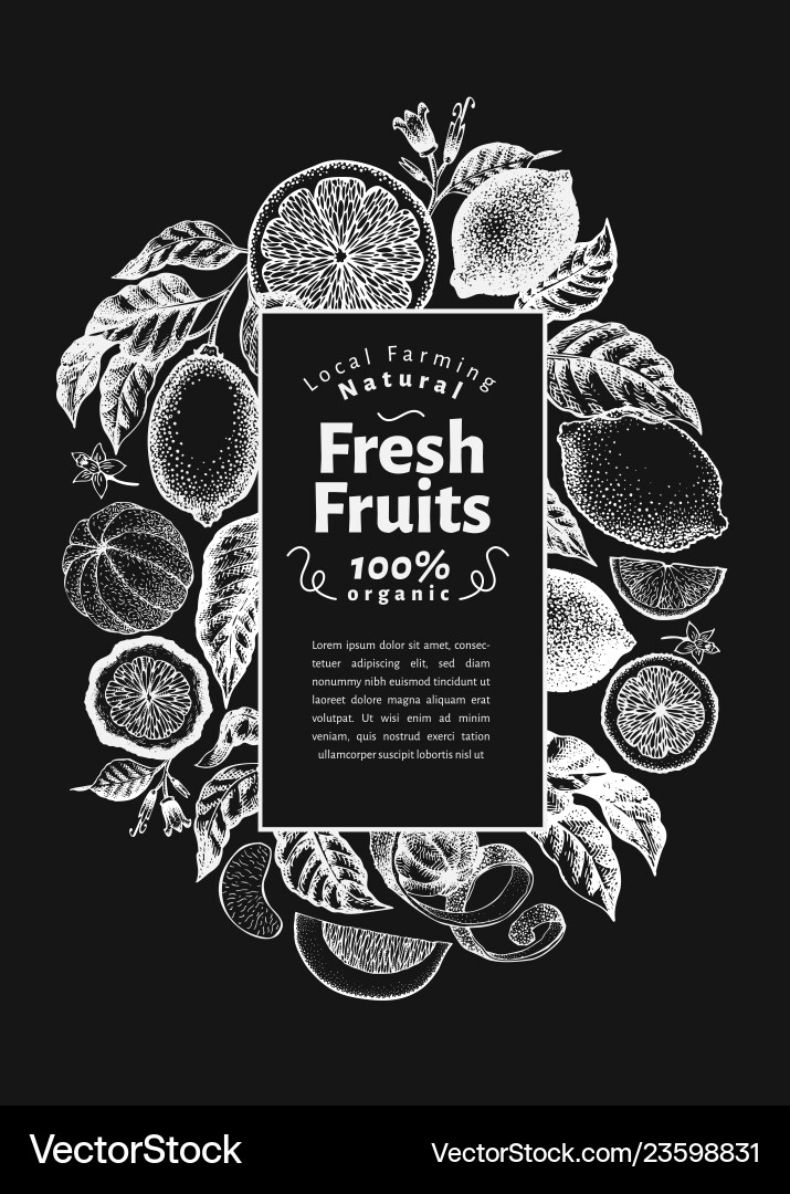 Vintage citrus banner template lemon tree design Vector Image