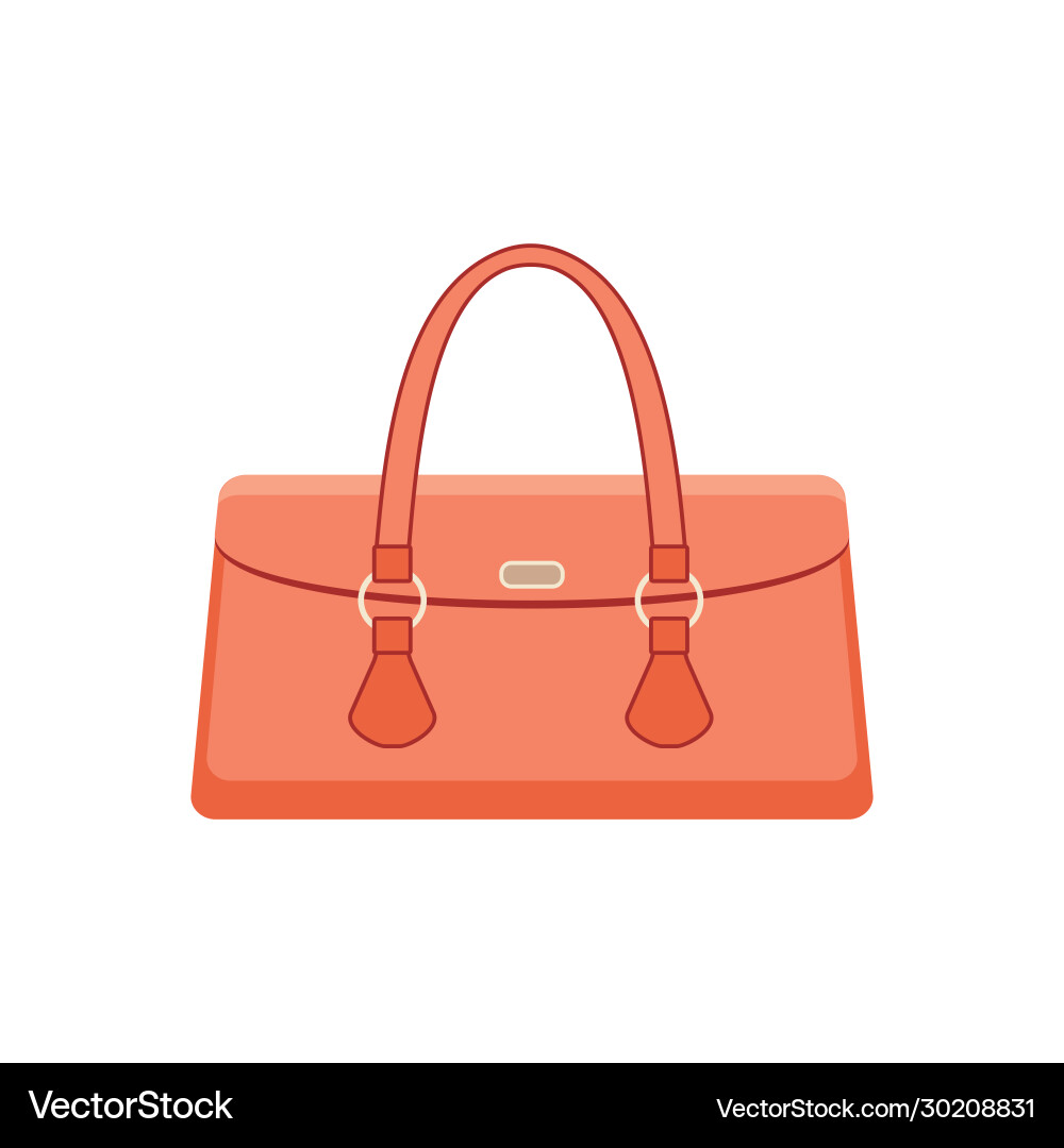 Women bag on a white background Royalty Free Vector Image
