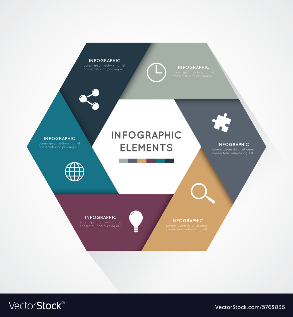 Modern hexagon infographics options banner Vector Image