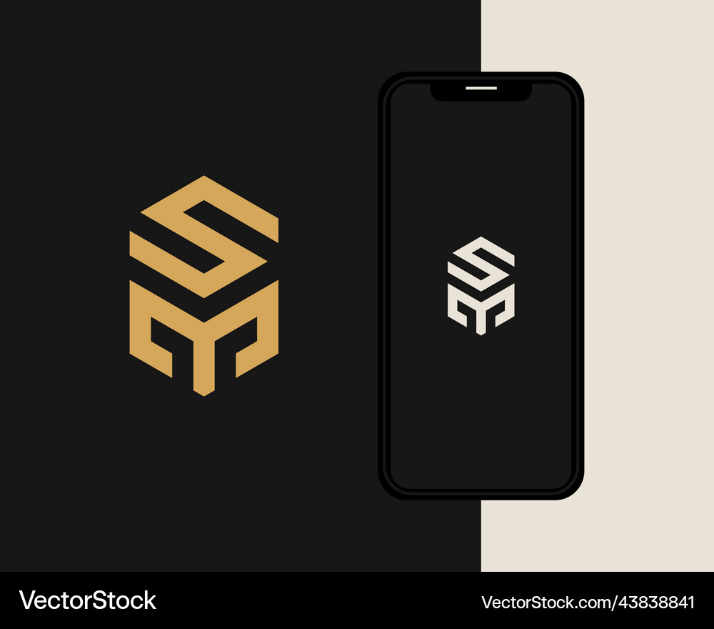 Letters s and m or sm line logo design linear Vector Image