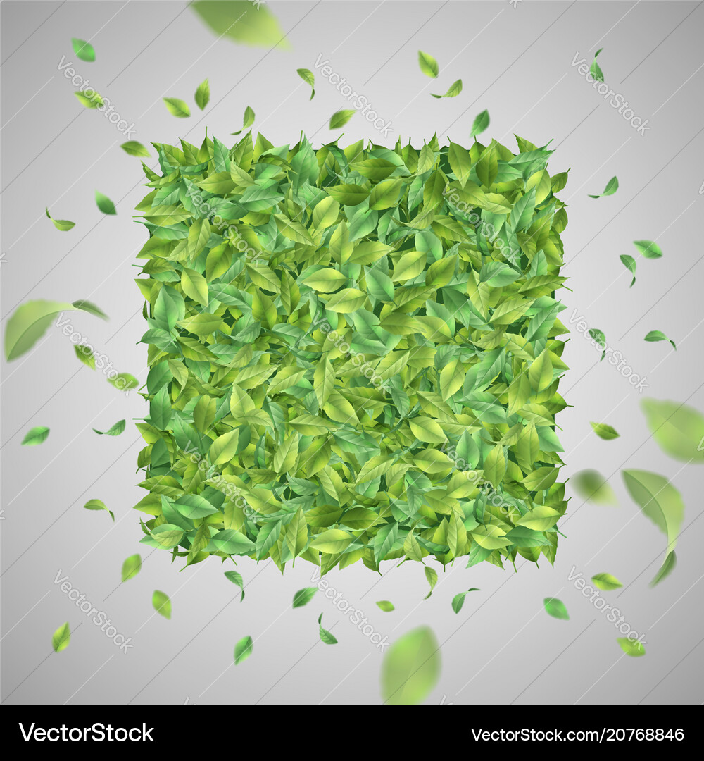 Green leaf background Royalty Free Vector Image