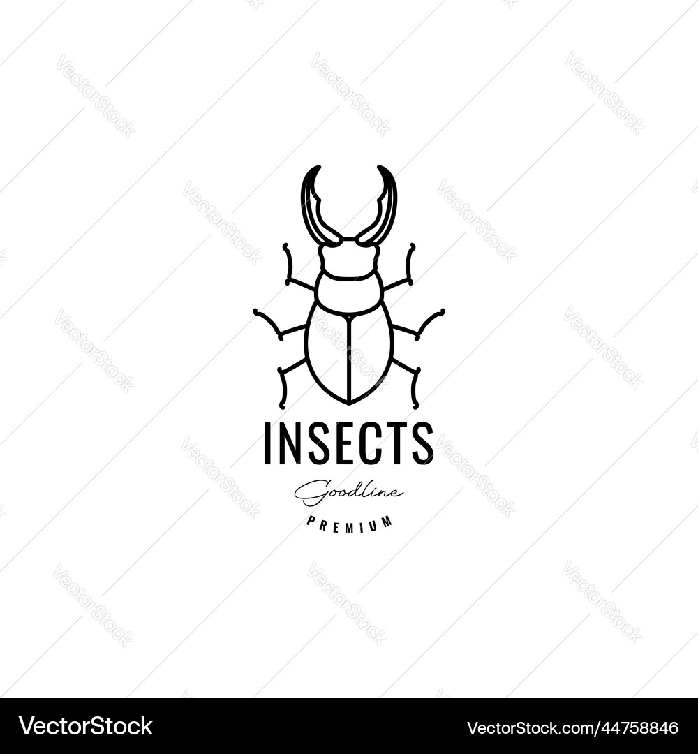 Insect beetle line minimalist mascot logo design Vector Image