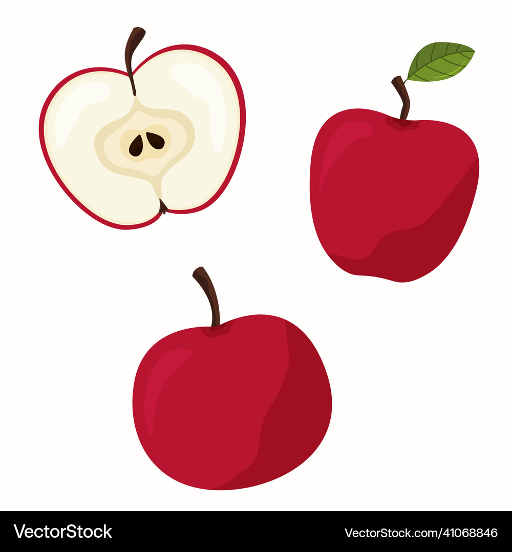Set of red apple sliced Royalty Free Vector Image