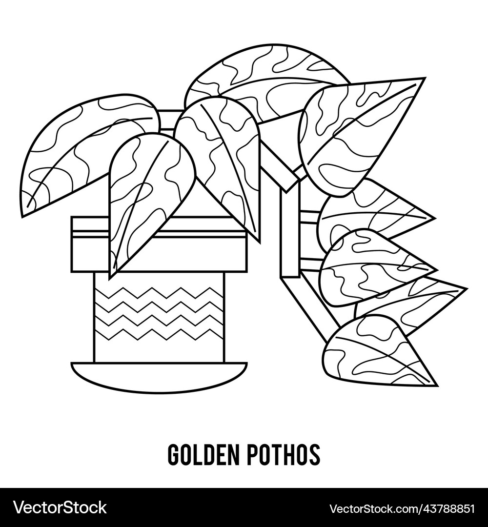 Coloring book golden pothos Royalty Free Vector Image