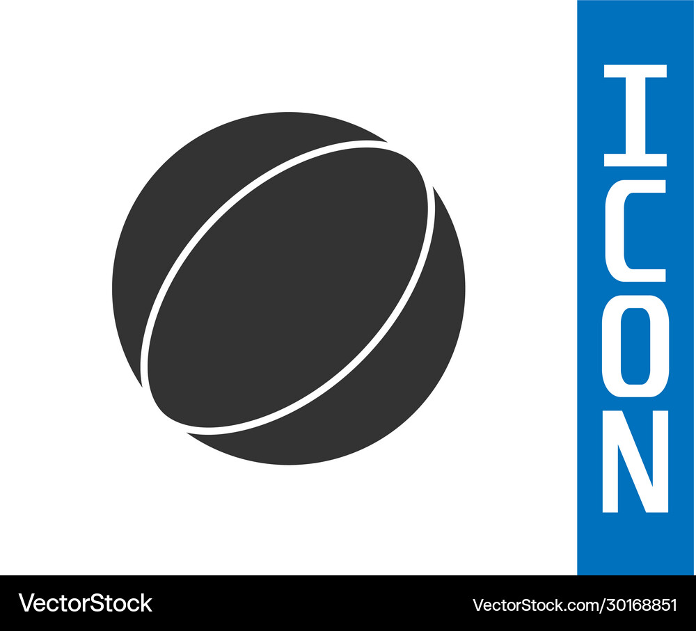 Grey beach ball icon isolated on white background Vector Image